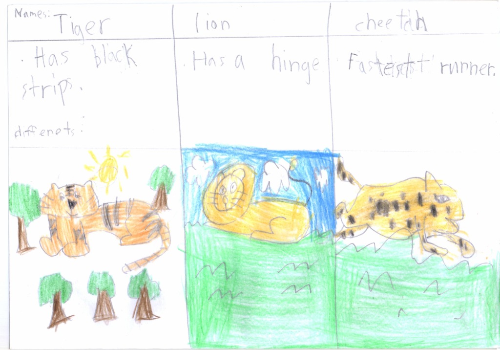 Featured projects: Cat got your tongue? - Shan Sisi